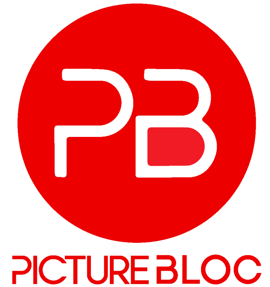 Brochure – Picture Bloc